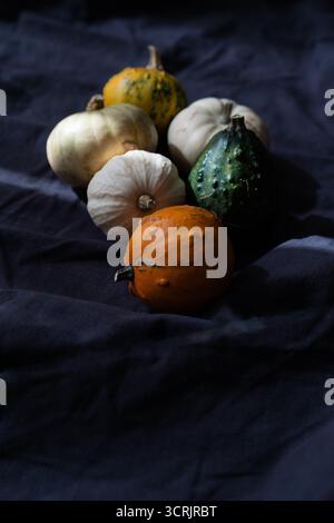Decorative pumpkins on light orange Stock Photo - Alamy