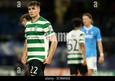 Ivan Fresneda of Sporting CP during the Uefa Champions League, season ...