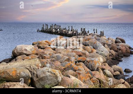 Sandy beach at the Rigas bay in the town Saulkrasti, Latvia Stock Photo ...