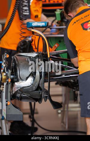 McLaren F1 Team MCL39, front brake disk, brakes and suspensions during ...