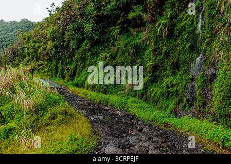 Inside an extinct Tahitian Volcano Stock Photo - Alamy