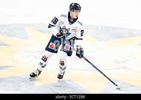 Eishockey DEL2 - 25/26 -28. Spieltag: Düsseldorfer EG vs Kassel Huskies ...
