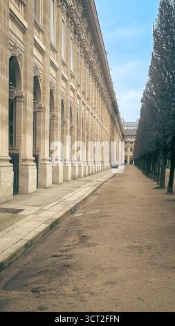 An elegant European street lined with historic buildings featuring ...