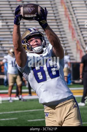 Washington tight end Decker Degraaf, facing, celebrates his touchdown ...