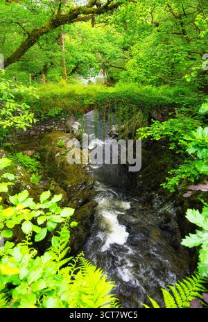 Roman Bridge over the River Machno, near Penmachno, Conwy County ...