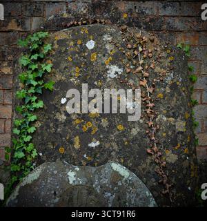 Stone wall with lichen and leaves Stock Photo - Alamy