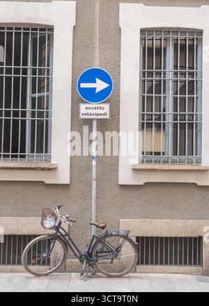 Urban parking sign near old tree on green city street in spring season ...