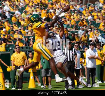 Baylor tight end Michael Trigg runs a route against Utah during the ...