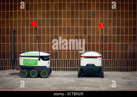 Starship Technologies grocery delivery robots decorated as reindeers ...