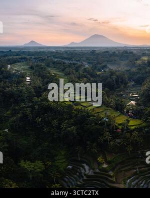 Aerial view of golden rice terraces at Mu cang chai town near Sapa city ...