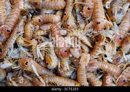 A top view of raw mantis shrimp, lime slices, garlic, and peppers on a ...