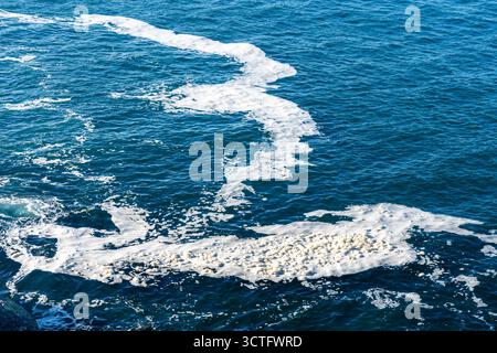 foam on water Stock Photo - Alamy