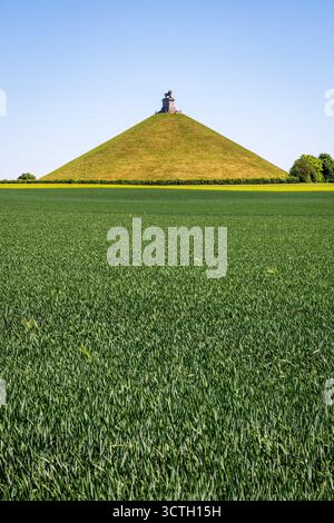 General view of green crop field Stock Photo - Alamy