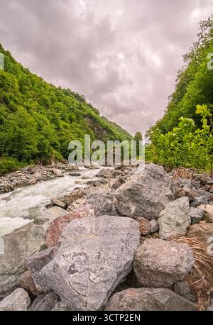 Green hills under a cloudy sky, bright flowers in the foreground ...