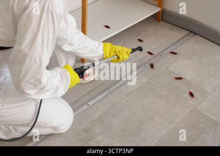 Female pest control specialist carrying out cockroach disinfection in ...