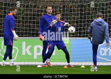 Mark Flekken, Robin Roefs and Bart Verbruggen of Netherlands before the ...