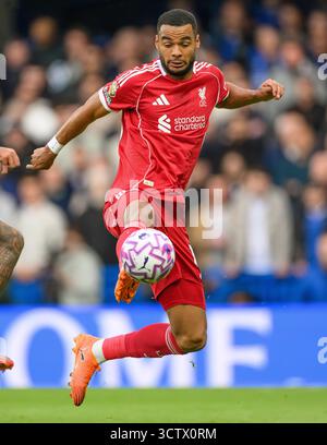 Liverpool's Cody Gakpo in action during the Champions League soccer ...