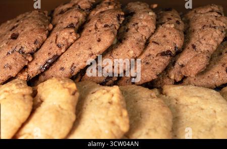 A closeup of vanilla and spiced chocolate cookies on a plate Stock ...