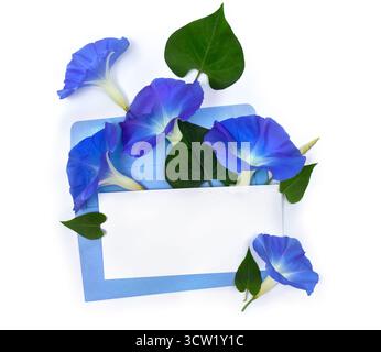 Flowers, blank paper and envelope on a table top Stock Photo - Alamy