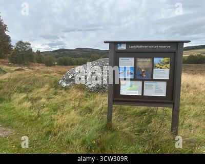 Loch Ruthven, RSPB Nature Reserve, The Highlands, Scotland, UK Stock ...