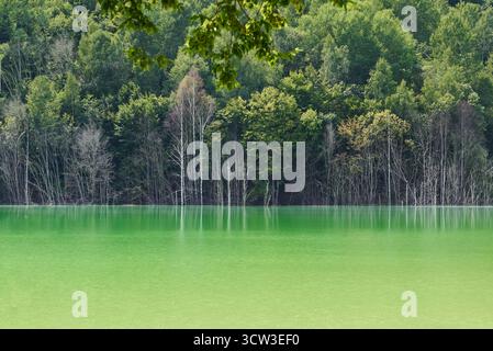 The toxic lake poisoned with unreal colors in the village of Geamana ...