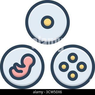 Icon for embryo culture, embryo Stock Vector Image & Art - Alamy