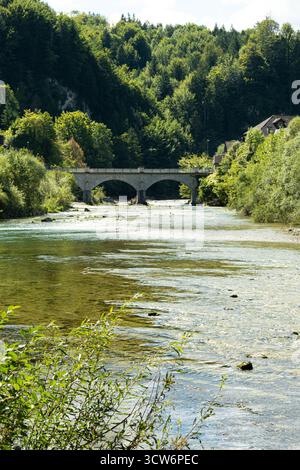 Small forest stream flowing over rocks, autumn leaves, natural peaceful ...