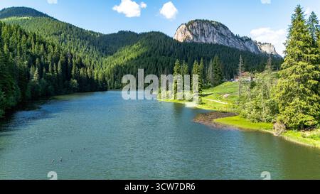Summer landscape in Harghita County, Romania, approx. 2000 Stock Photo ...