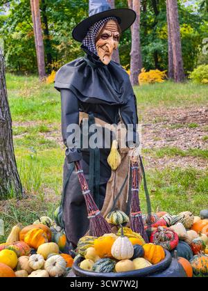 Natural Autumn decorations. Decorative Fall pumpkins, climbing plants ...