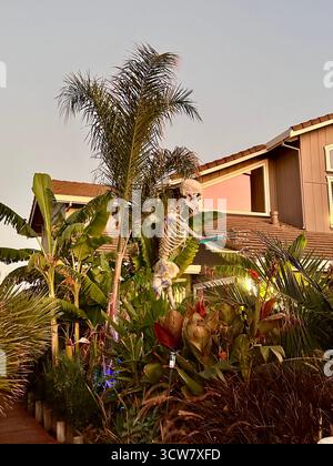 Giant Skeleton Among Palm Leaves at Sunset in California Stock Photo ...