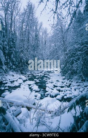 A beautiful serene river surrounded with stones in a park with colorful ...