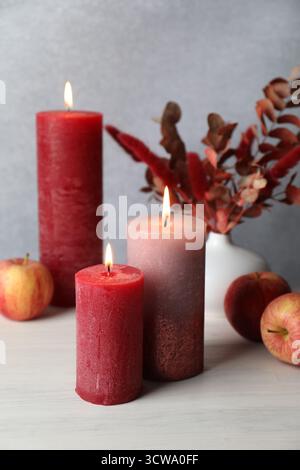 Eucalyptus branches on a light gray background close up. Copy space ...