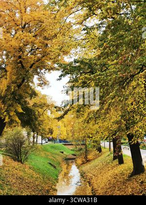 An alley of autumn trees and a small stream in the city park Stock ...