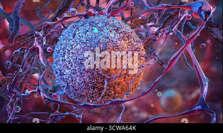 Mycoplasma structure, illustration Stock Photo - Alamy