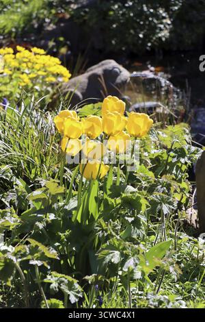 Decorative frog in the garden by the pond Stock Photo - Alamy