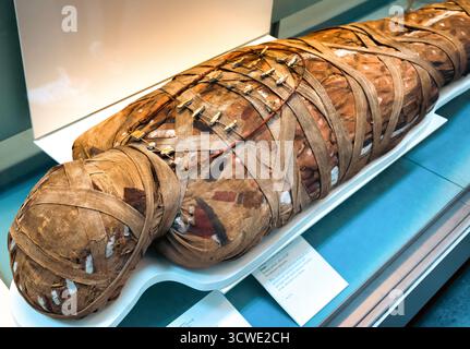Ancient Egyptian mummy exhibited in the British Museum, London, UK ...