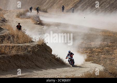 73 CANET Edgar (esp), Red Bull KTM Factory Racing, KTM 450 Rally ...