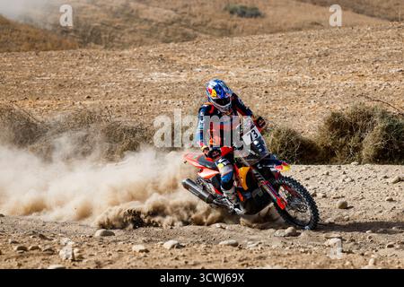 73 CANET Edgar (esp), Red Bull KTM Factory Racing, KTM 450 Rally ...