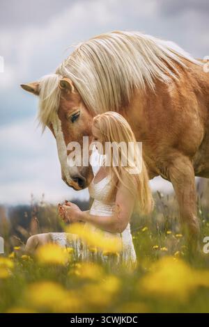 Haflinger with woman Stock Photo - Alamy
