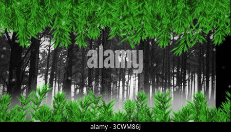 Green tree branches and snowflakes falling over multiple trees on ...