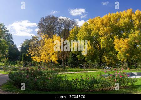 Nancy, France - View of trees taking on autumnal colors in the ...