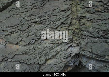 Sedimentary rock. Structure of natural stone. Background Stock Photo ...