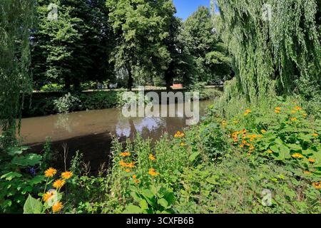 View of the river Anker in Riversley Park, Nuneaton town, Warwickshire ...