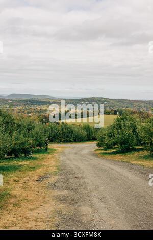 Road winds through open land with melting snow as winter transitions to ...