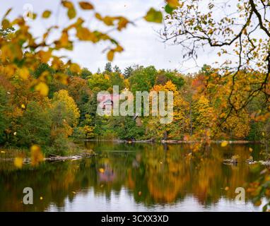 Chorin, Germany. 16th Oct, 2025. The deciduous trees at Chorin ...