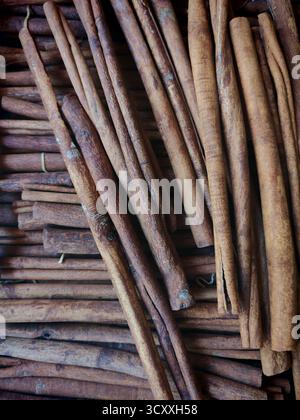 Group fragrant cinnamon sticks isolated on white background. Food photo ...