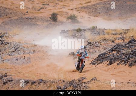 DOCHERTY Michael (rsa), BAS World KTM Team, KTM, Rallye 2, FIM W2RC ...