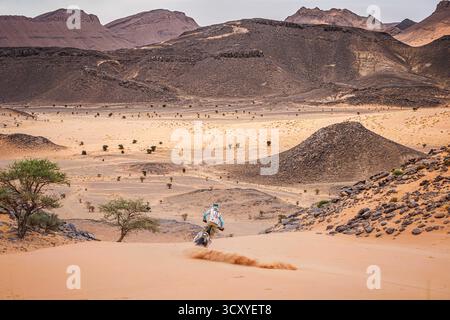 DOCHERTY Michael (rsa), BAS World KTM Team, KTM, Rallye 2, FIM W2RC ...