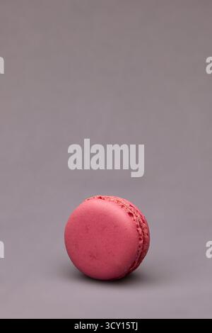 Vertical image of one pink macaron dessert placed on neutral gray ...