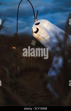 White ghost haunting with a night scene background. Halloween concept ...